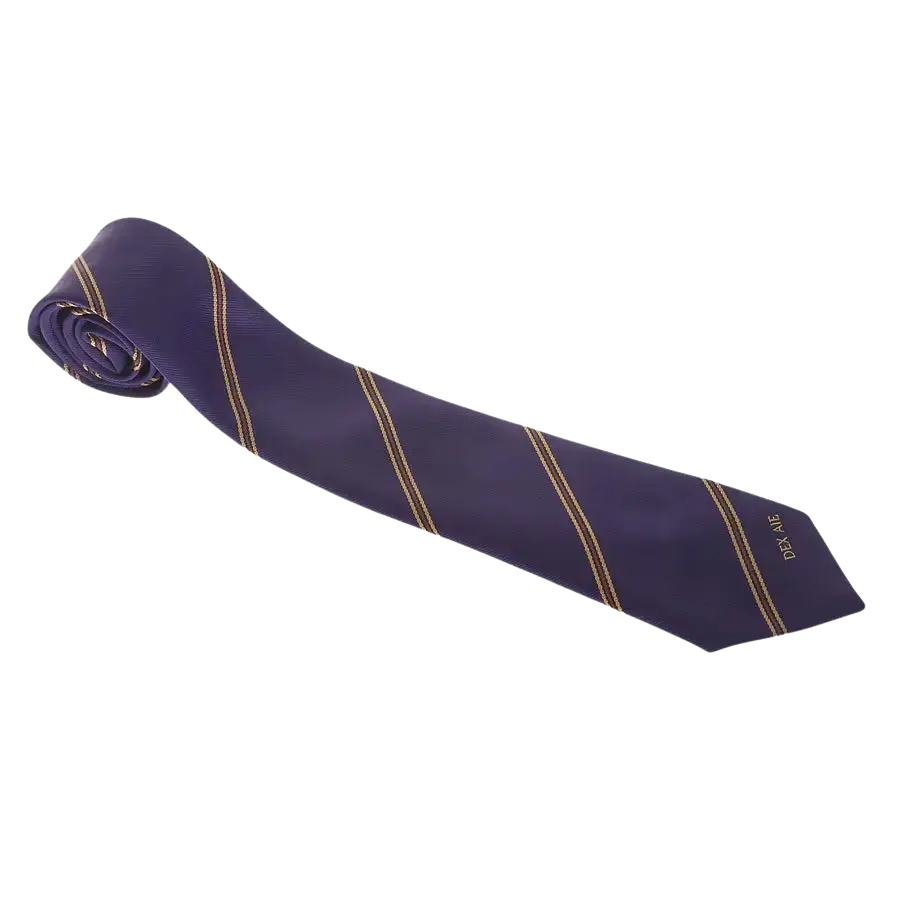 Crgs House Tie - Dex Aie | Coes